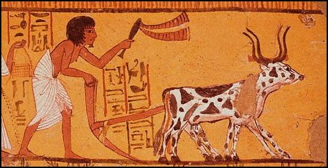 Agrarian history — the Weber edition – Understanding Society