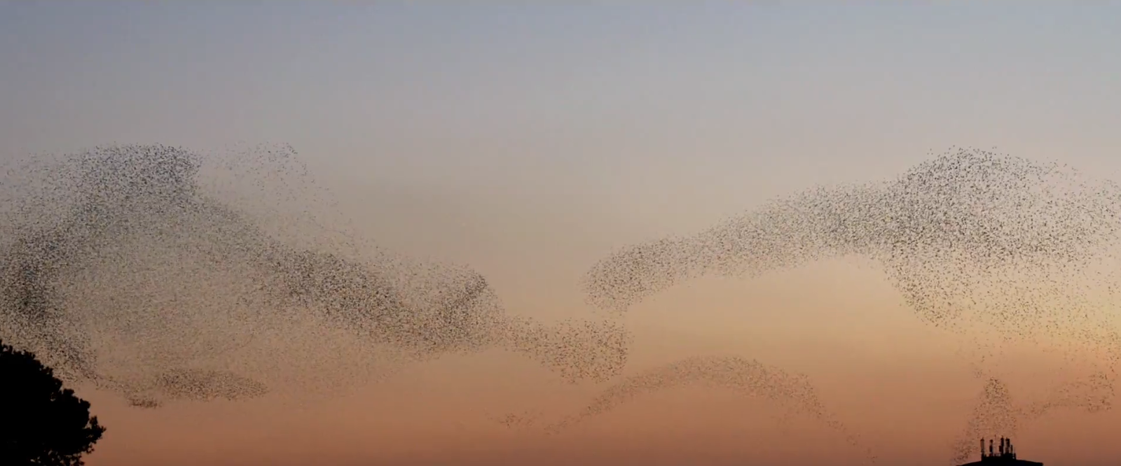 The heterogeneous social? – Understanding Society